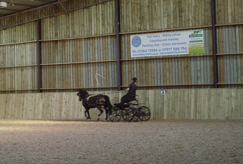 Cheston Farm Equestrian Centre - Riding School, Pony Club and Riding ...